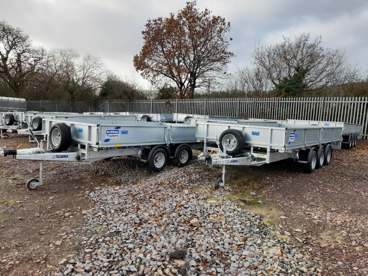 Ifor Williams Flatbed Trailers LT & LM Models - Winston Pincombe